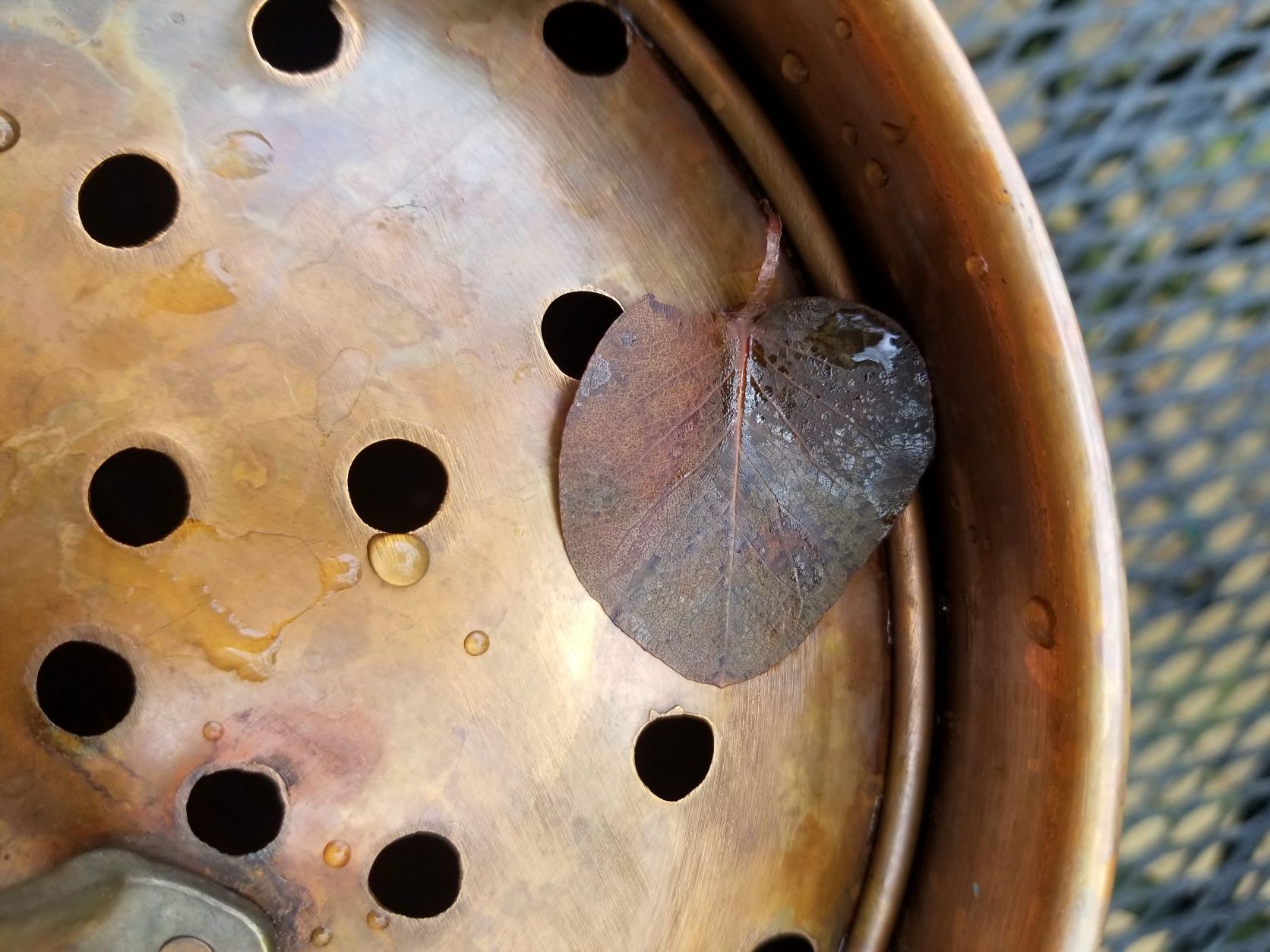 Distillation Intensive – Fleur + Forage