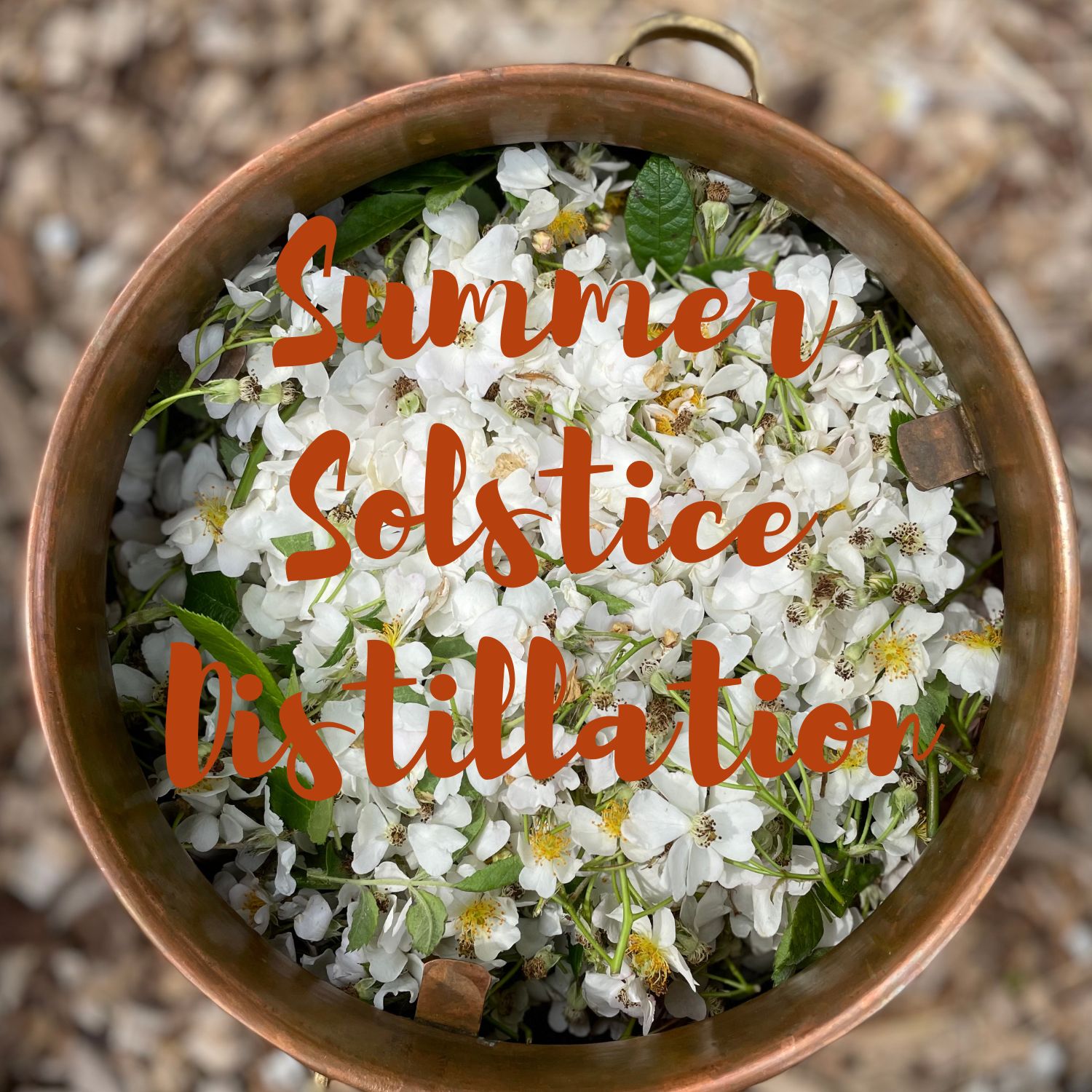 Summer Solstice Distillation – Fleur + Forage